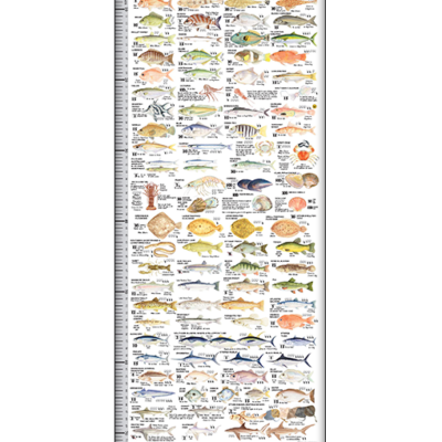 Products – Page 3 – Fishing R Us