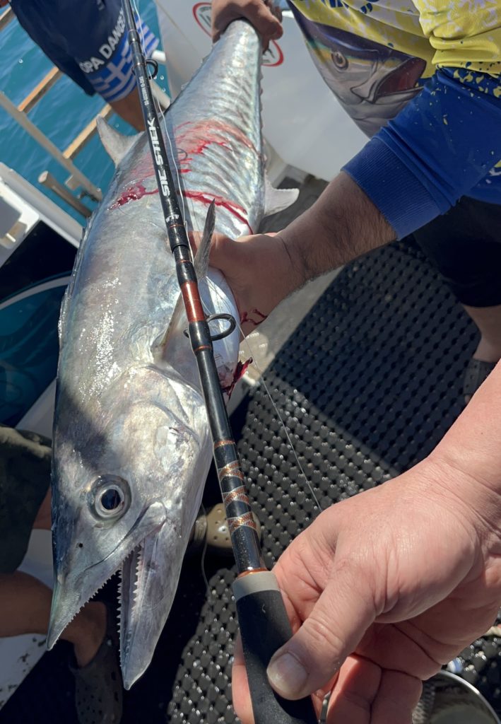 SIC STICK DESIGNED BY FISHING R US – Fishing R Us Pty Ltd