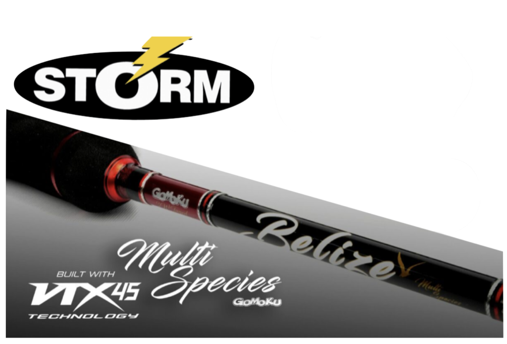 Storm Belize Spin Jigging Rod PE0.8-1.5 – Fishing R Us Pty Ltd