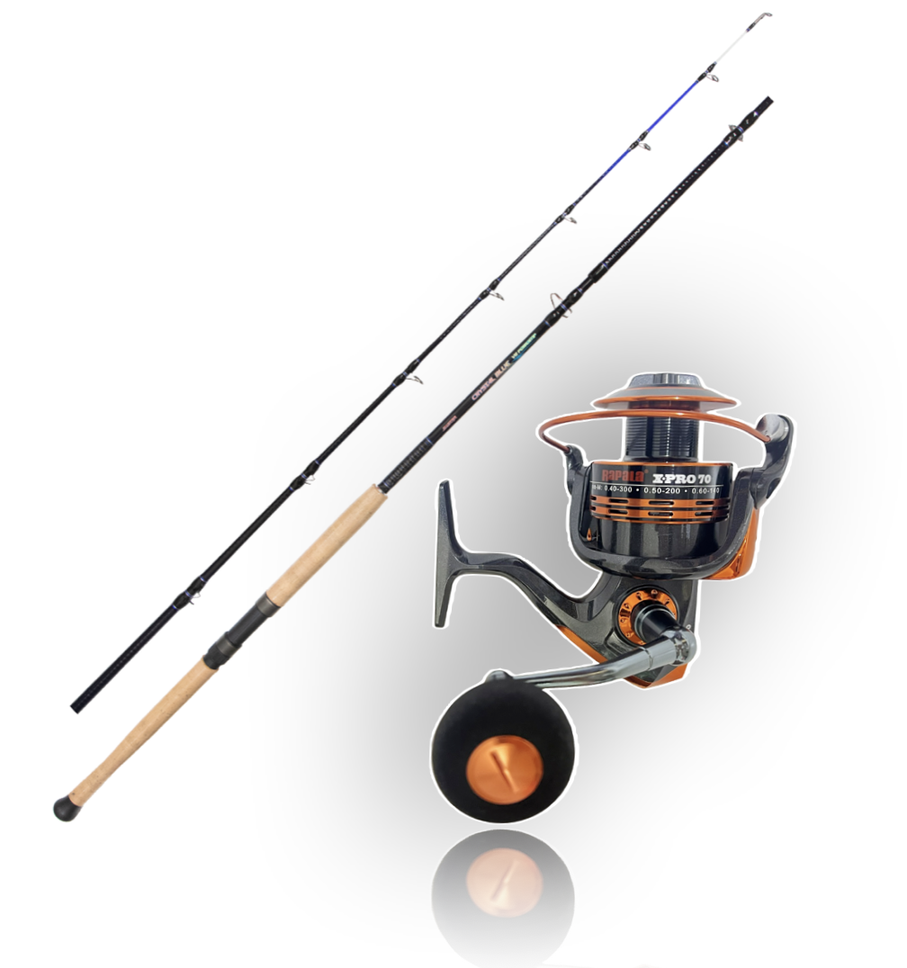Silstar Crystal Blue VII Powertip 7′ 2pc 6-10kg / X-PRO 50 – Fishing R ...