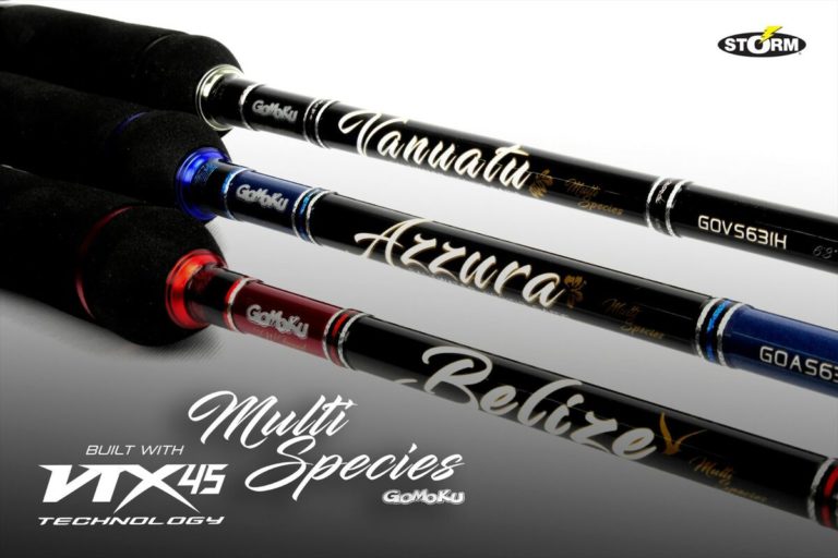 Storm Gomoku Overhead Rod / Abu Garcia Max4 LP40 / SFX 8X Braid ...